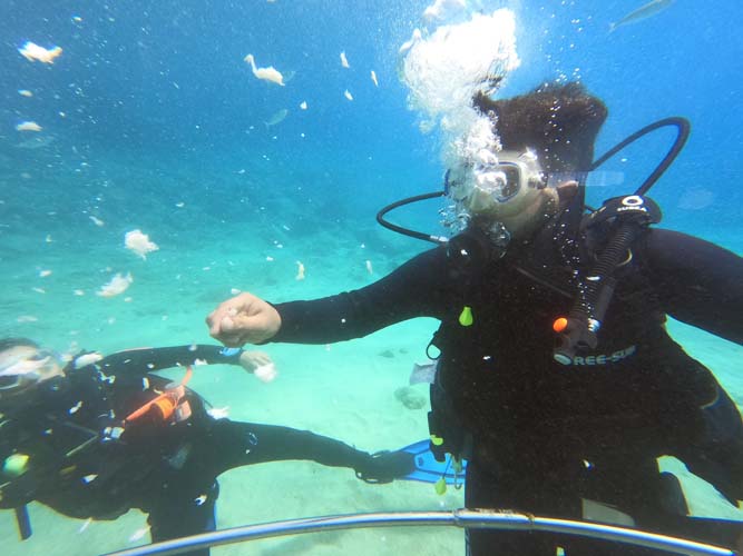 Scuba Diving in Kalkan, Turkey with the Kalkan Dive Centre